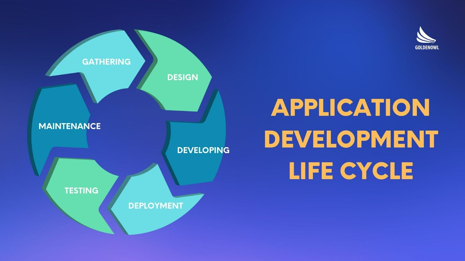 What Is Application Development? A Practical Guide For Beginners - Golden Owl