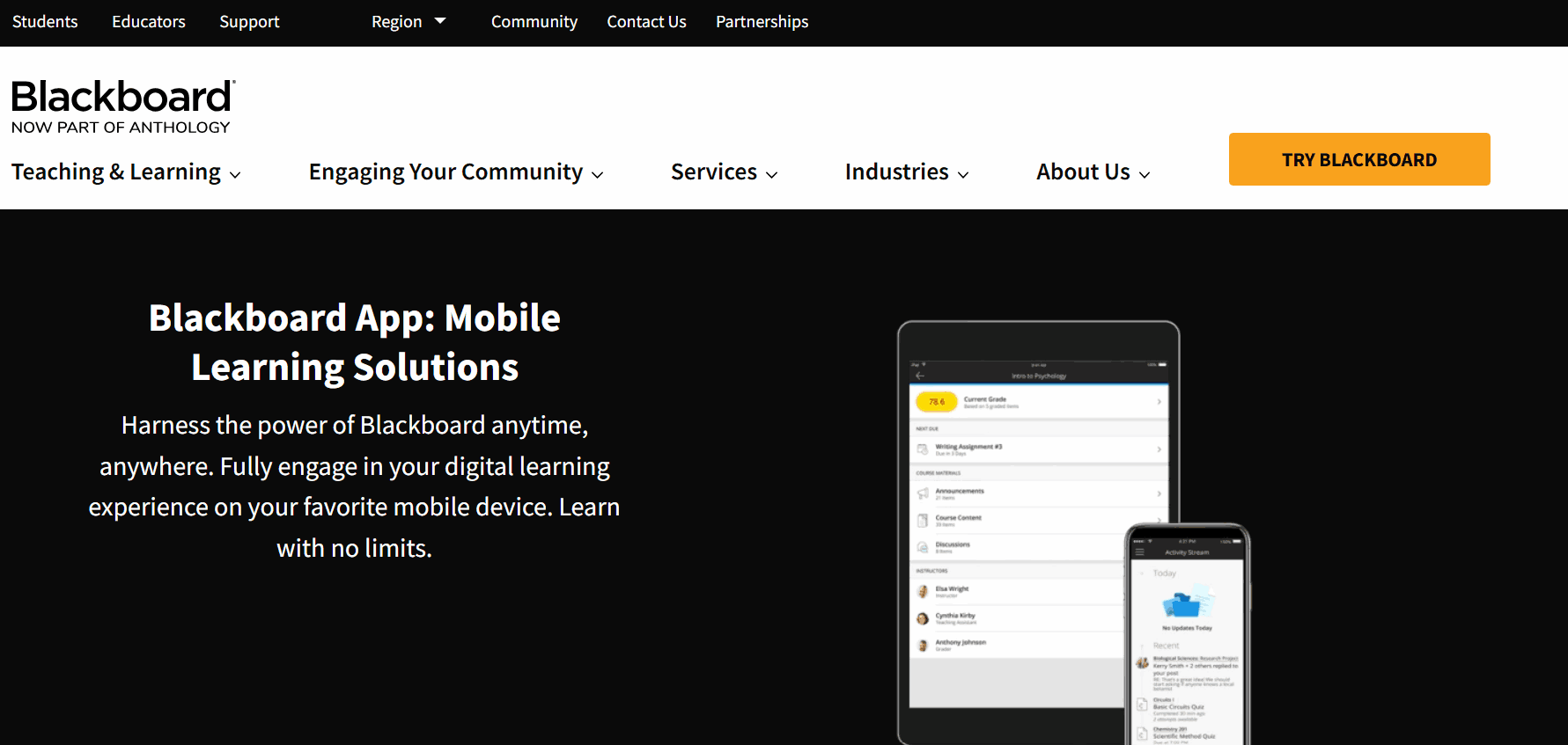 Top 5 Web Portal Examples and 8 Types You Can Learn From (2025 ...